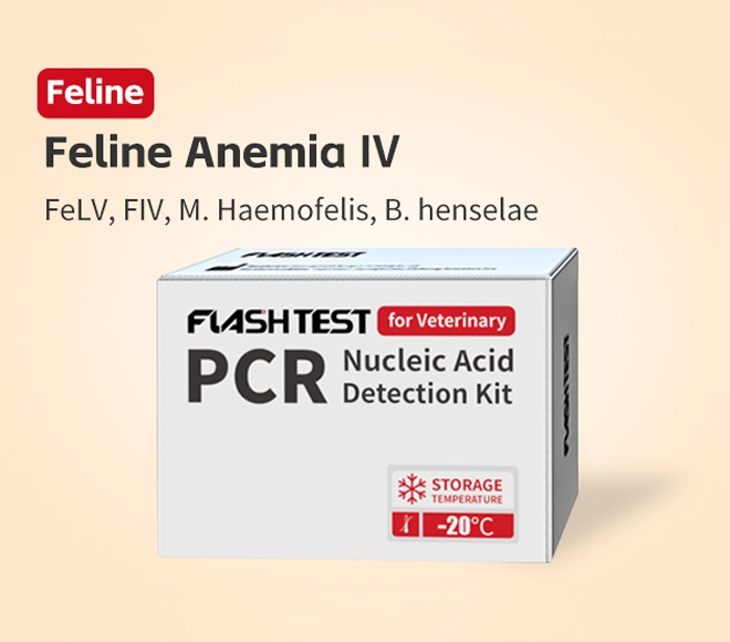Custom Feline Anemia IV Nucleic Acid Test Kit (Dry) Supplier/ Factory ...