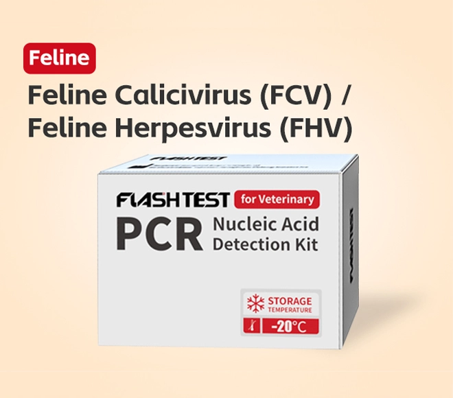[3006]Feline Calicivirus (FCV) / Feline Herpesvirus (FHV) Nucleic Acid ...
