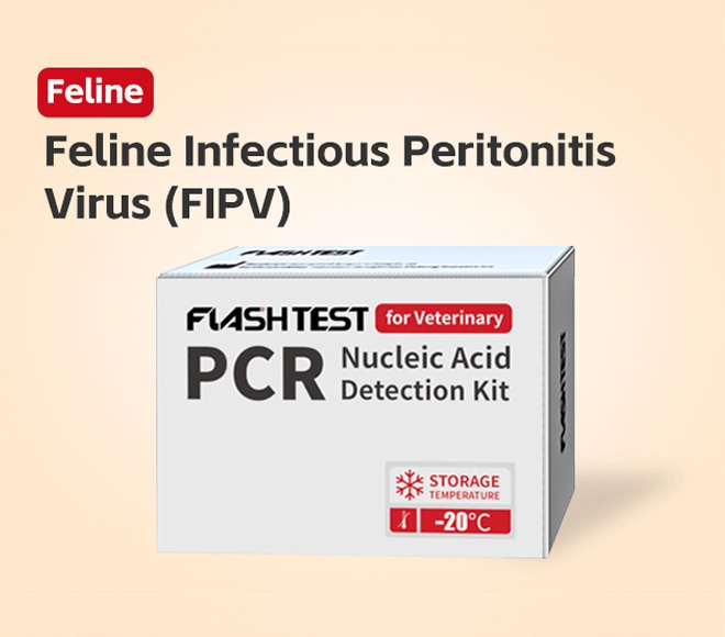 [3054]Feline Infectious Peritonitis Virus (FIPV) Nucleic Acid Test Kit ...