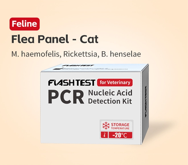 Custom Feline Flea Panel Nucleic Acid Test Kit (Dry) Supplier/ Factory ...