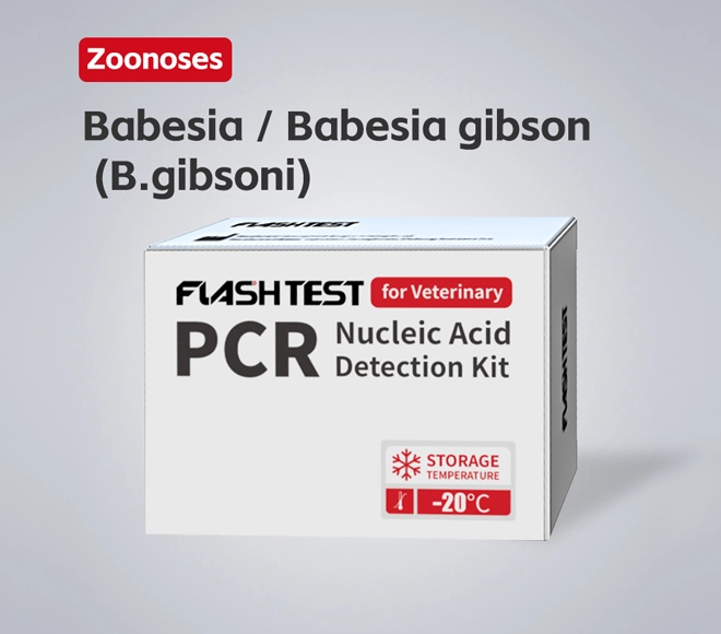 [3055]Babesia / B.gibsoni Nucleic Acid Test Kit (Dry) Supplier/ Factory ...