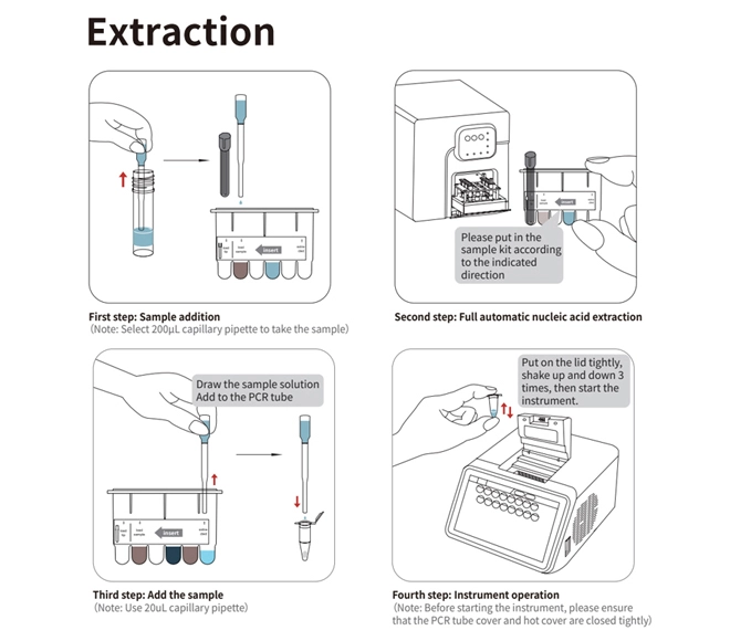 Custom [3056]Brucella Nucleic Acid Test Kit (Dry) Supplier/ Factory ...