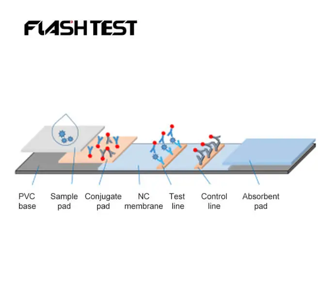 [2014]Feline symmetric dimethylarginine (fSDMA) Test Kit Supplier ...