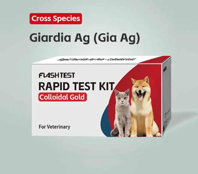 Custom Giardia Ag (GIA Ag) Test Kit Supplier/ Factory/Company China ...