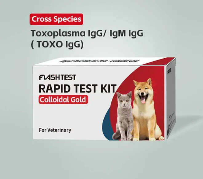 [4031]Toxoplasma IgG/ IgM (TOXO IgG/ IgM) Test Kit Supplier/ Factory ...