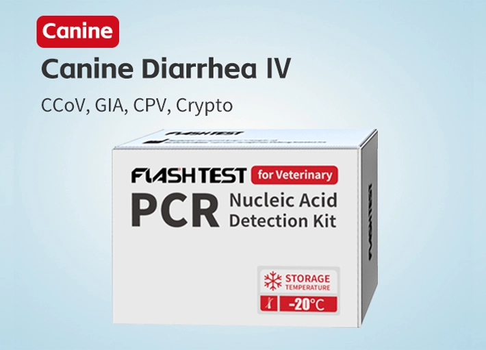 Canine PCR Test Kits Manufacturer, PCR Test For Dogs Factory | Flashtest