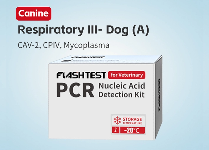 Canine PCR Test Kits Manufacturer, PCR Test For Dogs Factory | Flashtest