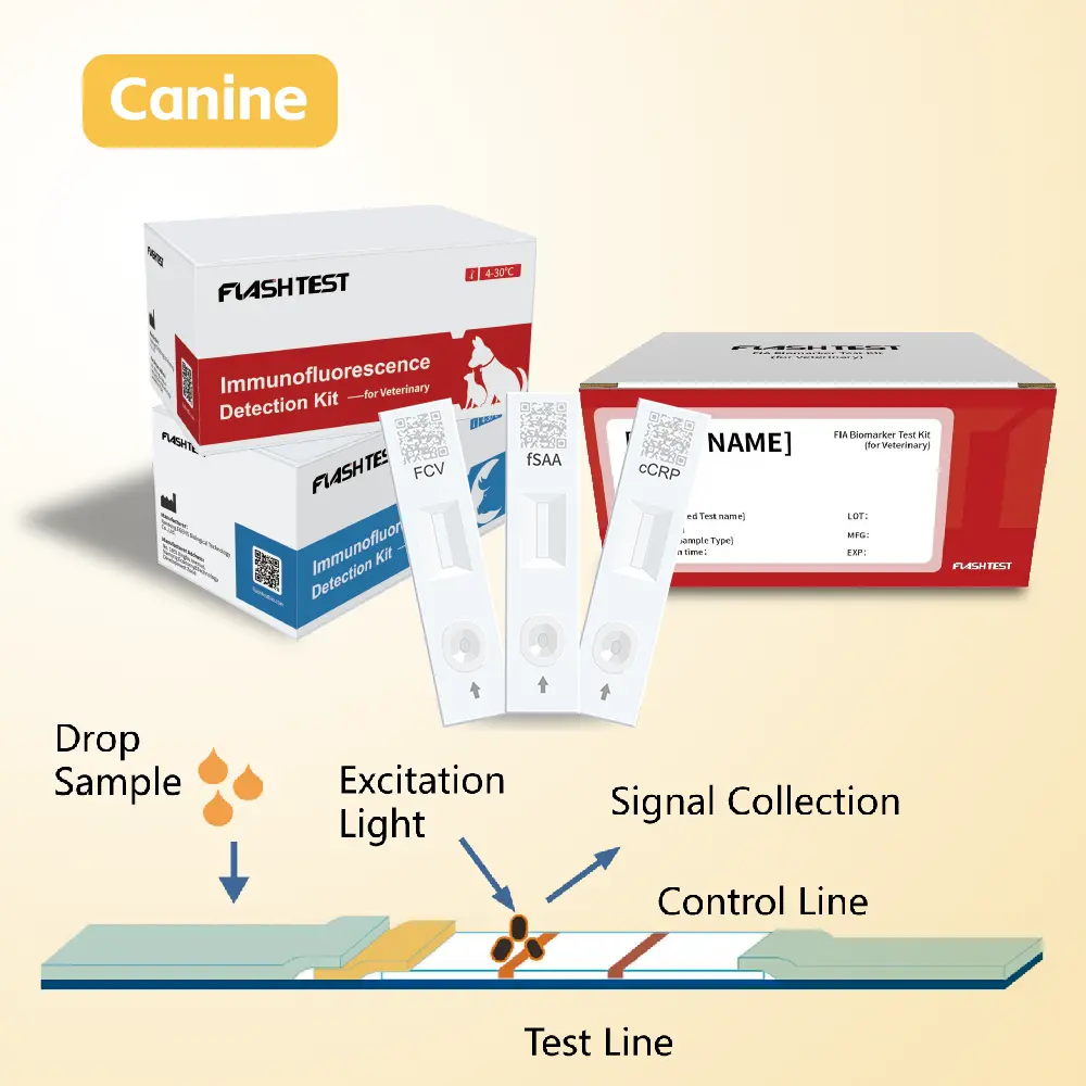 Canine parvovirus antigen (CPV Ag) Test Kit Supplier/ Factory/Company ...